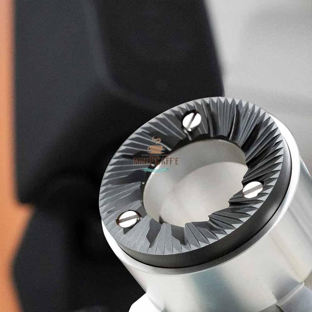 Fiorenzato Allground Sense Coffee Grinder – MiniPCaffe.com