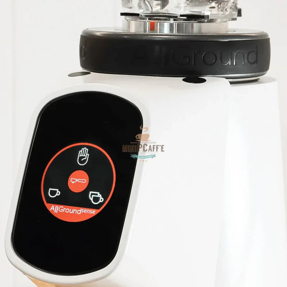 Fiorenzato Allground Sense Coffee Grinder – MiniPCaffe.com