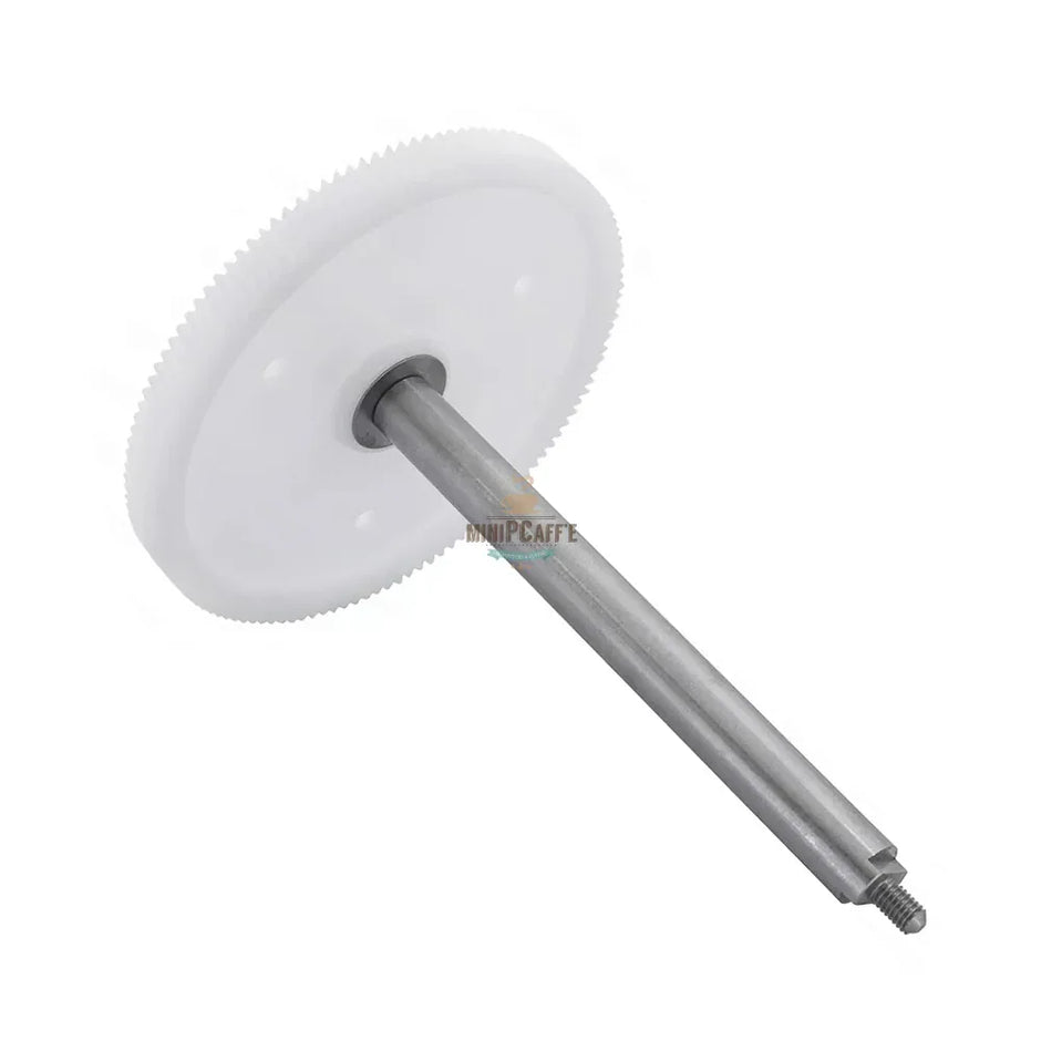 Musso Spare Parts – MiniPCaffe.com