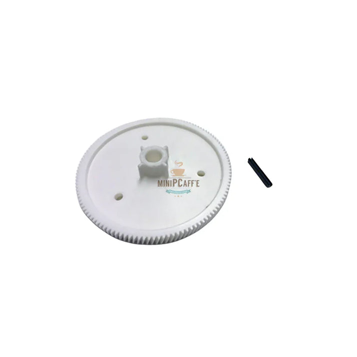 Musso Pola Stella Gear / Shaft Replacement for Assembly – MiniPCaffe.com